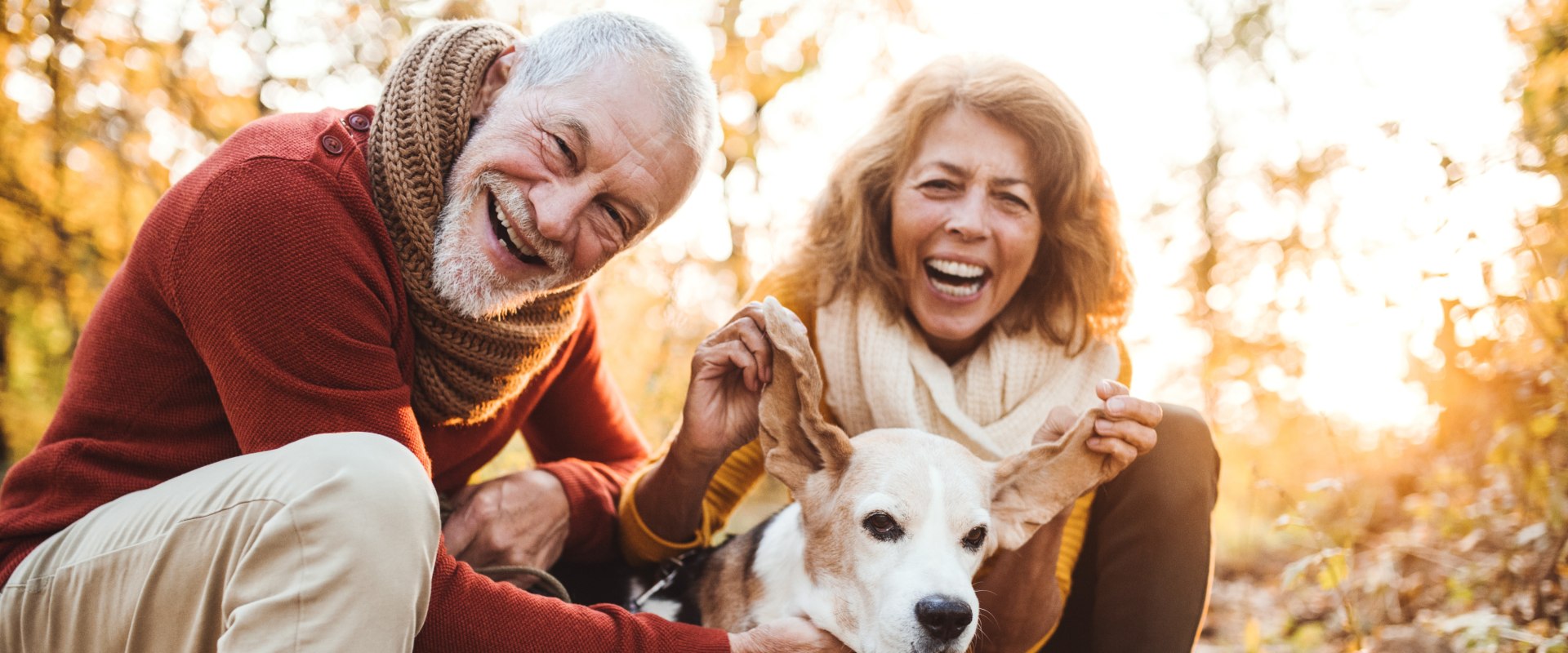 What is a self dealing prohibited transaction?